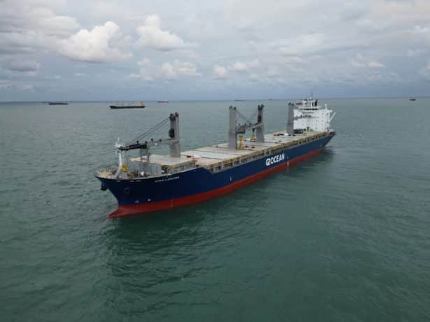 L-Class Vessels - Grieg Maritime Group